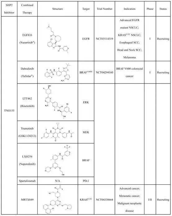 与KRAS和PD-1等联用，SHP2背水一战？_通路_信号_研究