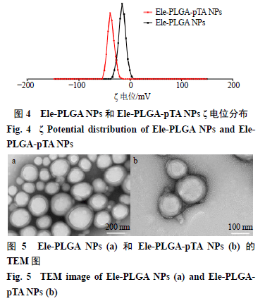 聚单宁酸包覆的PLGA纳米粒装载β-榄香烯用于光热-化疗联合抗肿瘤的研究_疗法_材料_药物