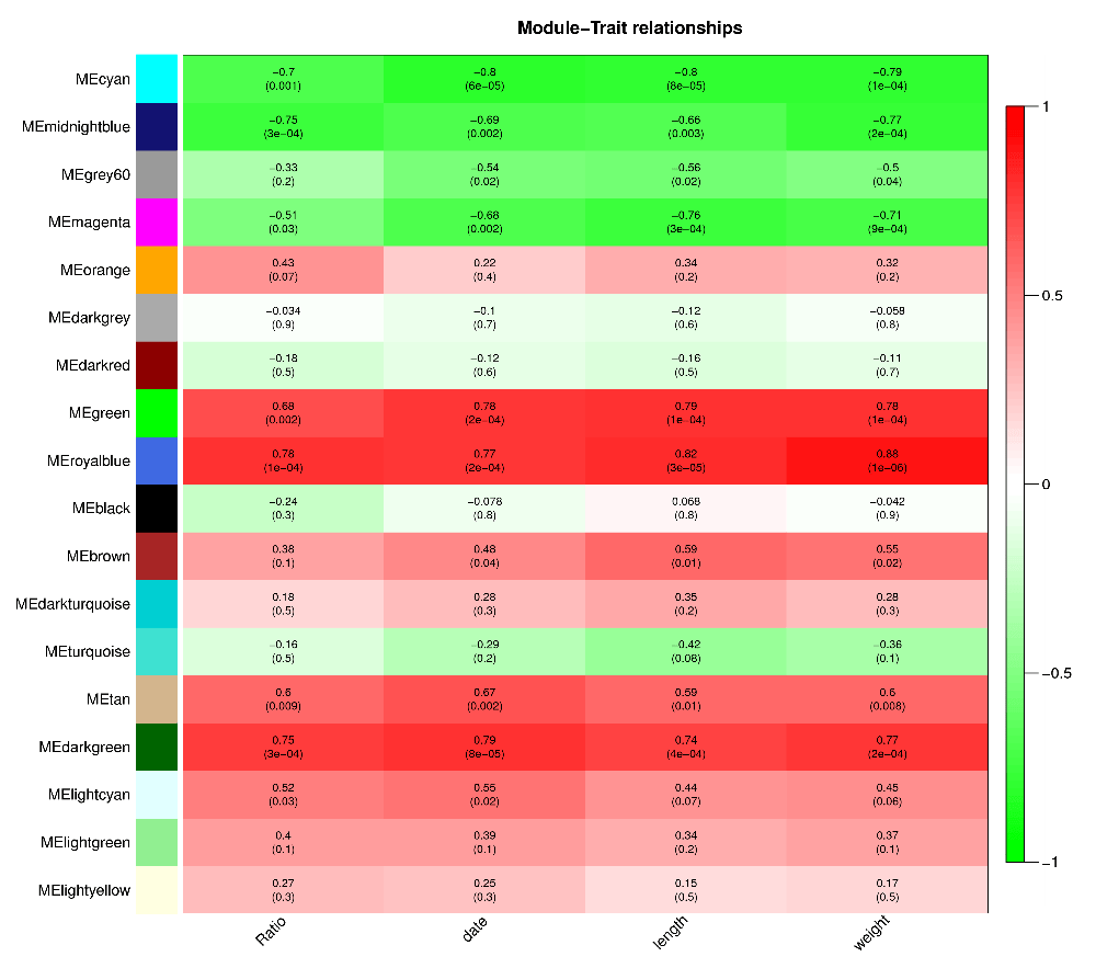 你会用WGCNA分析单细胞数据嘛？scWGCNA应用思路，干货满满_基因_模块_进行