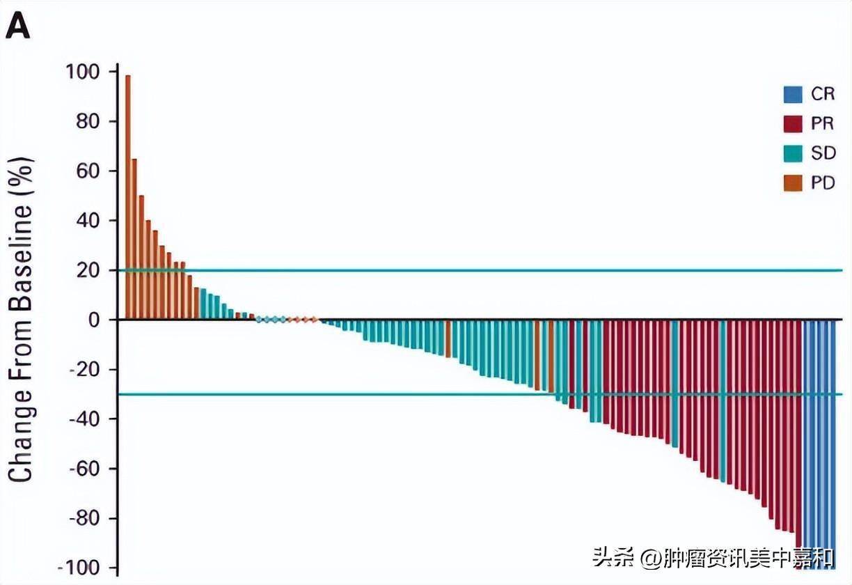 全球第15款ADC药物Elahere（IMGN853）为FRα阳性患者带来新希望_研究_治疗_毒性