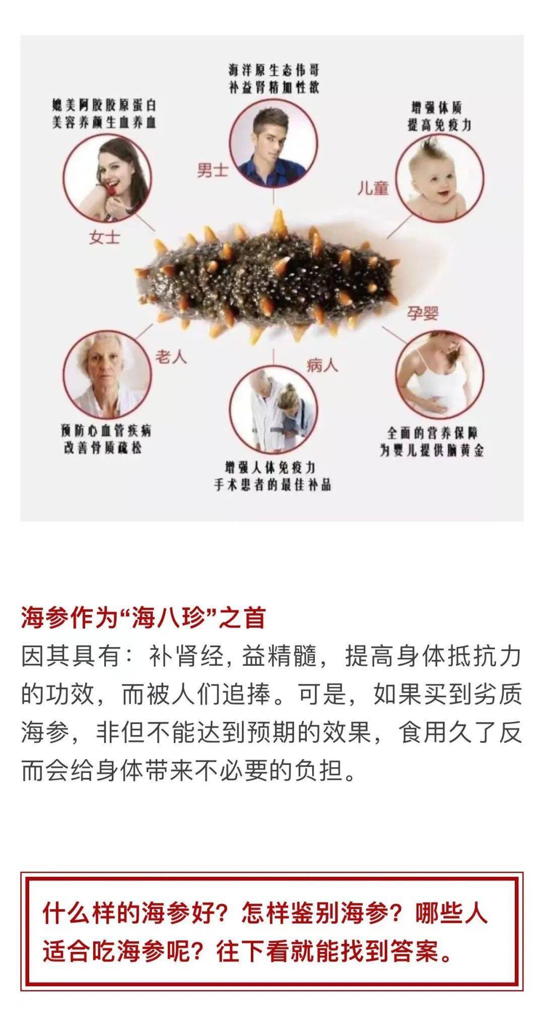 春季吃海参,这几个误区一定要注意!