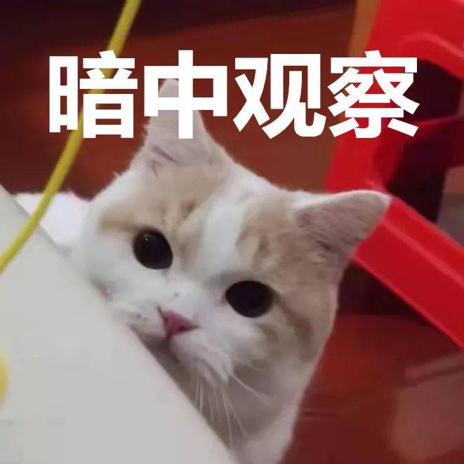 In two twos是什么意思？有点想不到！| 1 min learning English_短语_英语_厦门日报社