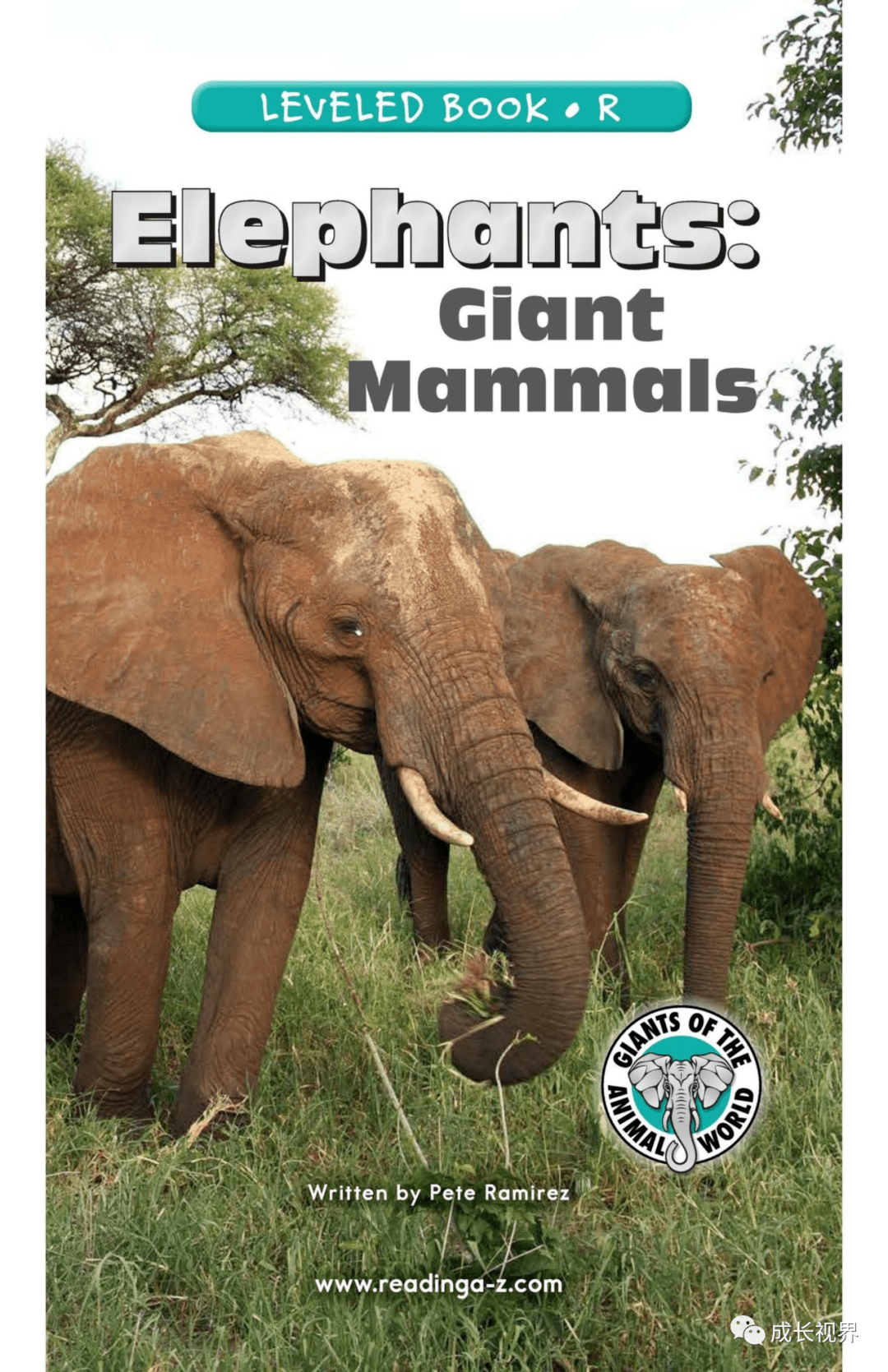 【RAZ-R-15】Elephants:Giant Mammals