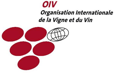 OIV公布行业最新数据：2022年全球葡萄酒产量258亿升，消费量232亿升_葡萄园_面积_种植