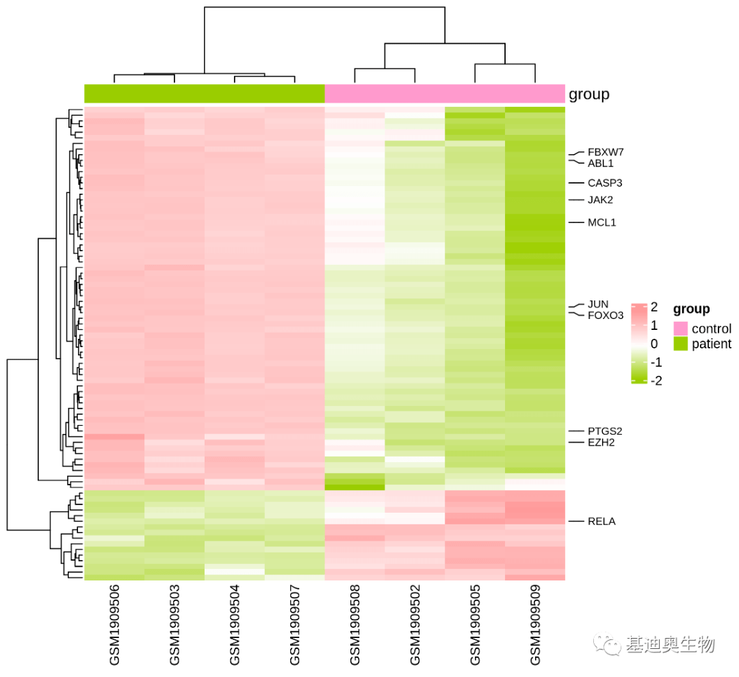 分享3种常见热图的数据整理方法_表格_文件_样本