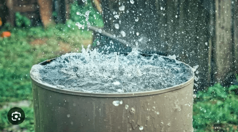 注意！在加州收集雨水也有限制，部分取水方式要申请！_水资源_Water_用水量