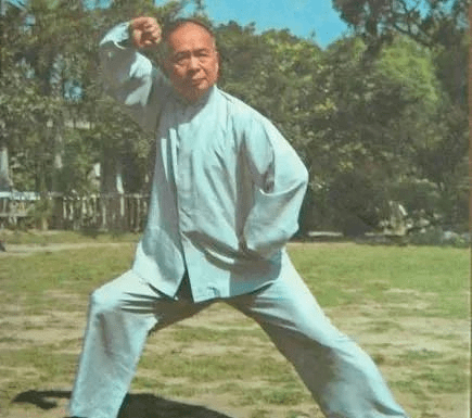突然的爆发劲，陈式太极拳“抖劲”的练法_推手_气势_动作