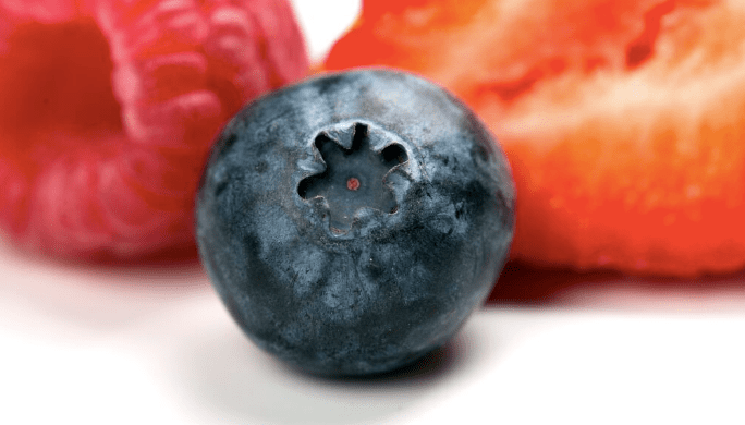 Mexican berry sector leads agri-food exports_other_Mexico_and