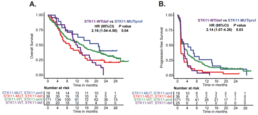 2023WCLC研究者说 | 多重认可：张力、洪少东教授团队为STK11基因与肺癌免疫治疗耐药提供新视角_患者_表型_缺陷
