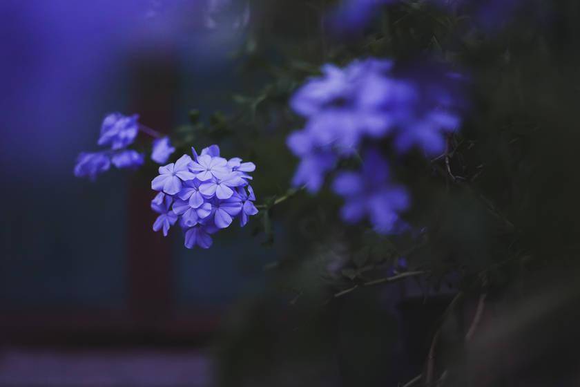 轻巧均衡的第二代全画幅小“7” 索尼Alpha 7C II评测_机身_视频_功能