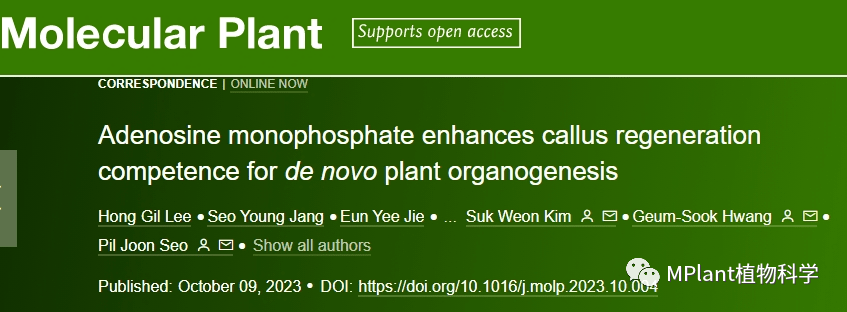 Mol Plant | AMP处理可提升植物再生能力_研究_基因_细胞