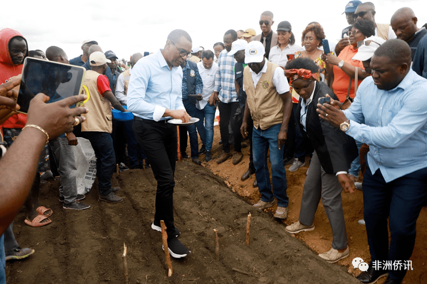 安哥拉 | 中国农业企业荣誉，明年丰收的希望在这里播种_发展_开发_农户