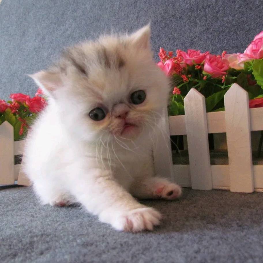 G505 30 50钢格栅的详细介绍_进行_处理_横杆