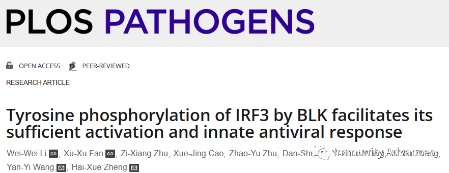 Plos Pathog | 兰州兽医研究所发现酪氨酸激酶BLK促进IRF3充分激活_细胞_反应_包括