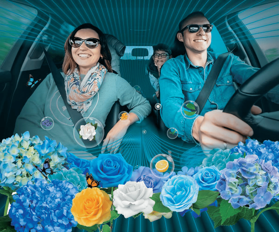 “香”伴前行，micronAir F+净香香氛汽车空调滤魅力登场！_搜狐汽车_搜狐网