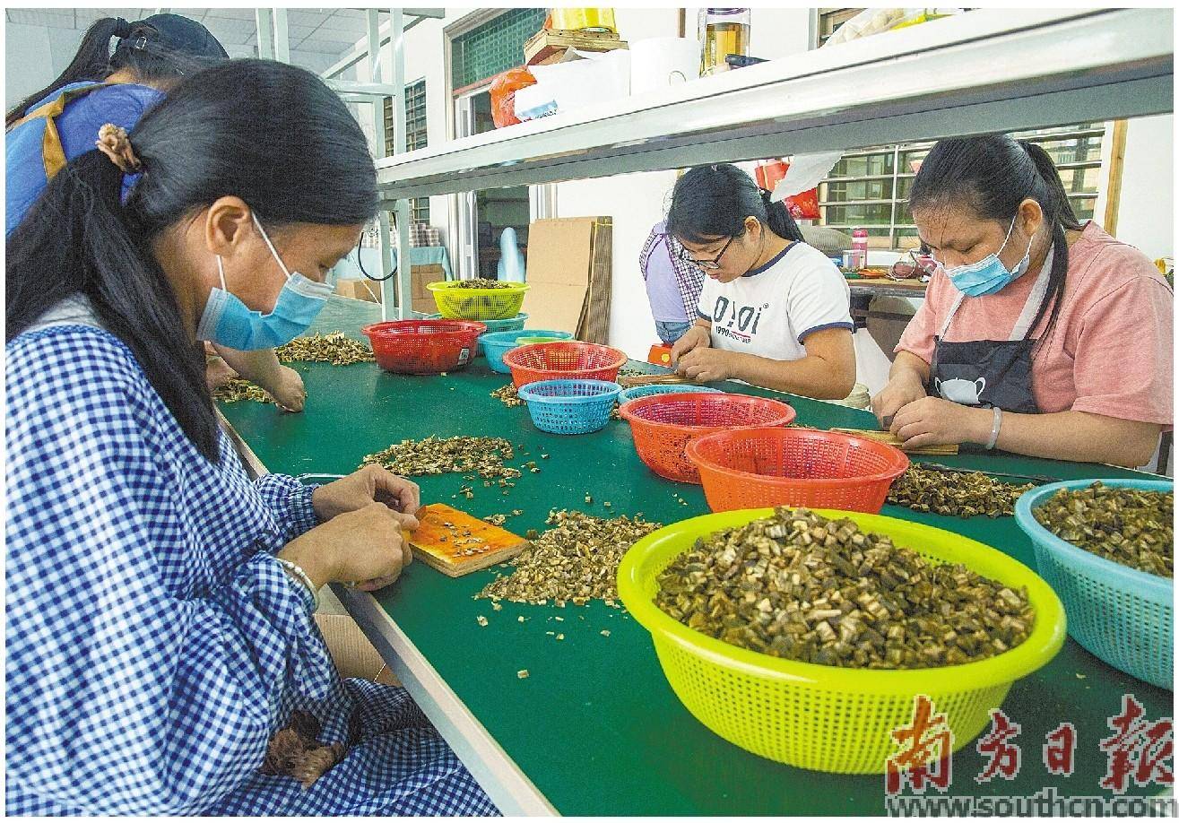 暖心 妈妈岗”带娃赚钱两不误工作观珠镇妇女