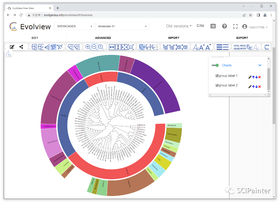分享10种进化树构建美化相关的教程_Blast_ggtree_One